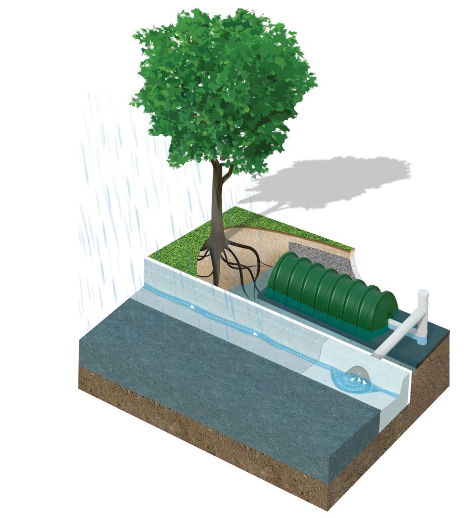 Eco-Friendly Sustainable Products - Grasscel®